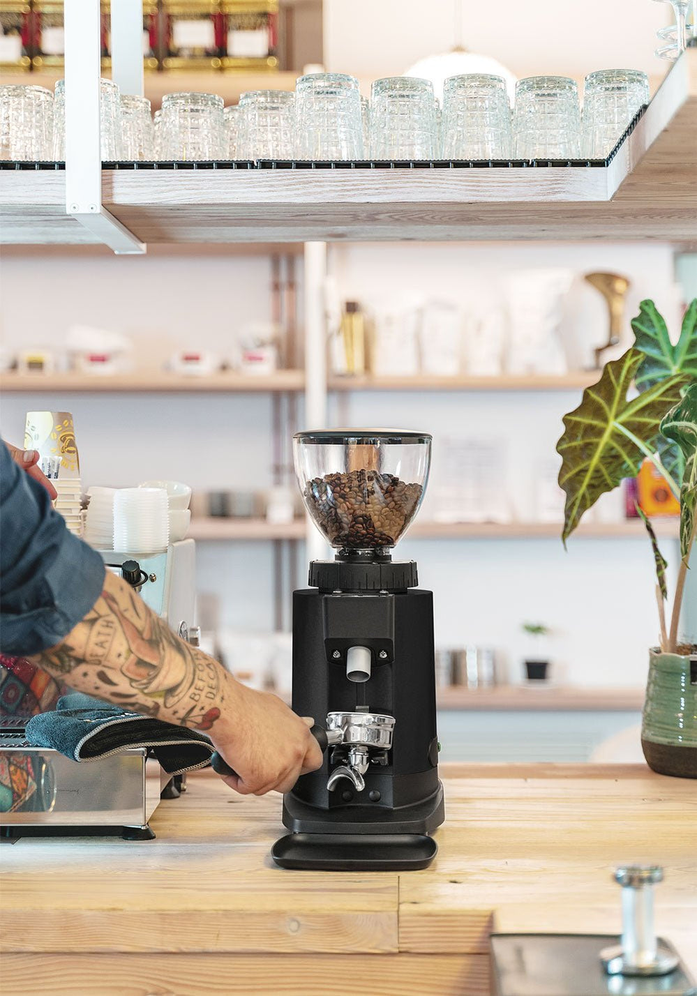 CEADO E6P - Coffee Grinder - Black with extra Large Hopper — Al Ahlia ...